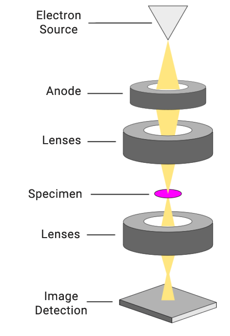 Transmission Electron Microscope – شرکت آراپژوهش